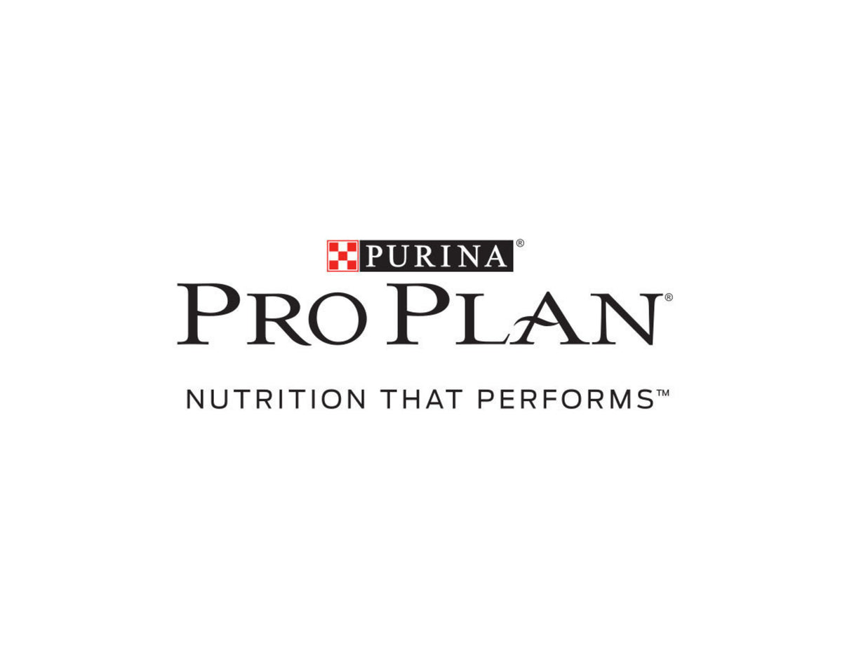PRO PLAN COMIDA HUMEDA – Perrosville